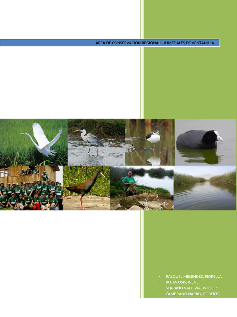 VENTANILLA | PDF | Agua subterránea | Humedal