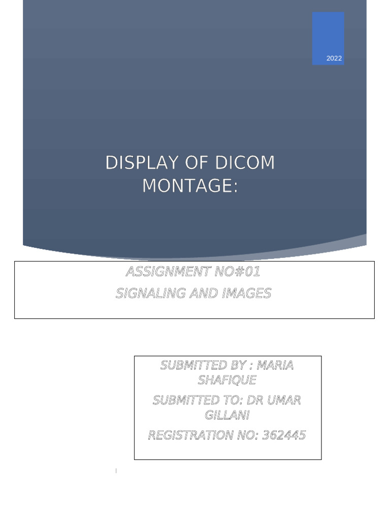 Assignment Pdf Computers