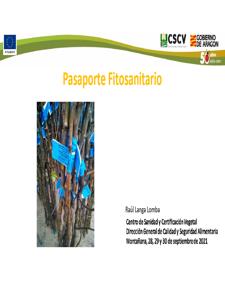 Pasaporte Fitosanitario Pdf Agricultura Pasaporte