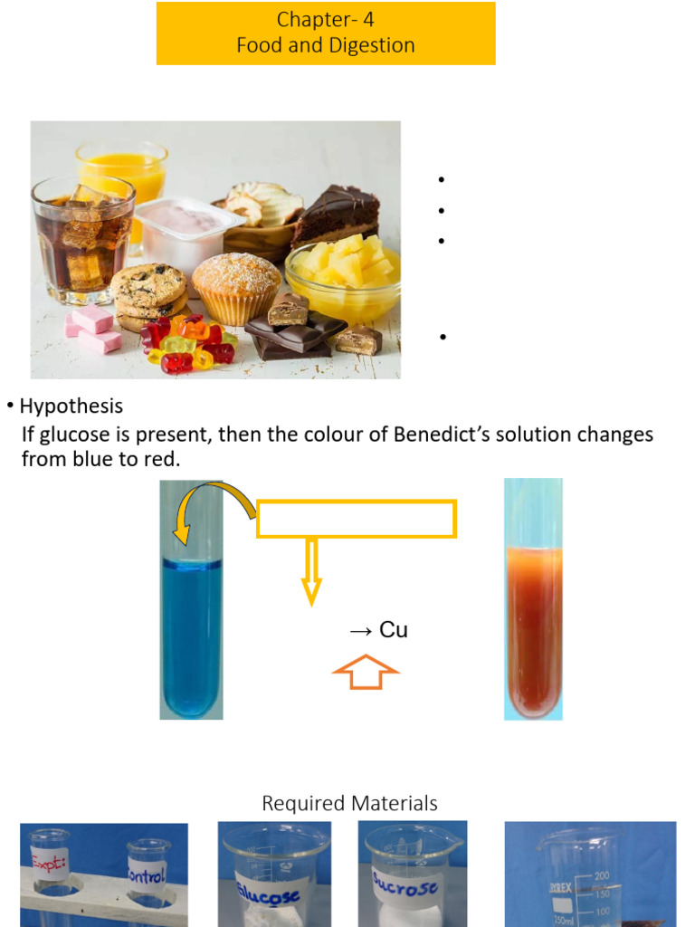 Sec 3 Biology Practical (Glucose Test, Frog Gas Exchange & Digestive ...