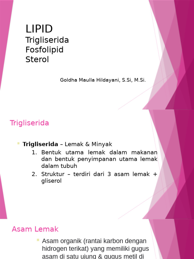Lipids - Triglycerides, Phospholipids, Sterols | PDF
