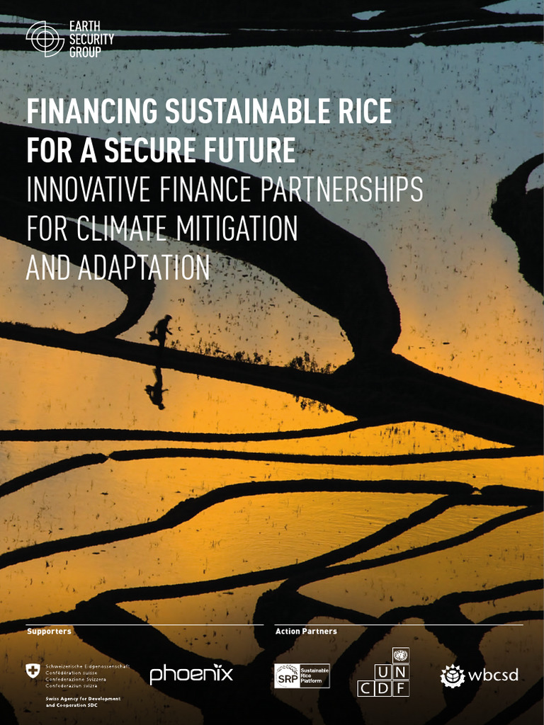 ESG Financing Sustainable Rice | PDF | Rice | Agriculture