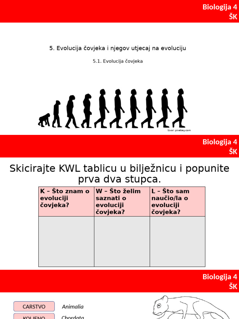 5 1 +evolucija+čovjeka | PDF