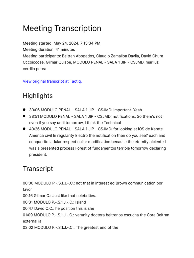 Meeting Transcription (2) | PDF