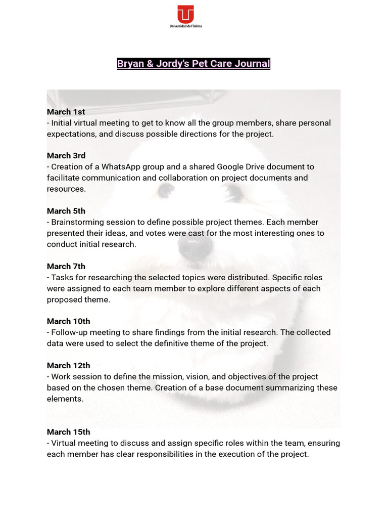 Team Project Development Log | PDF | Art