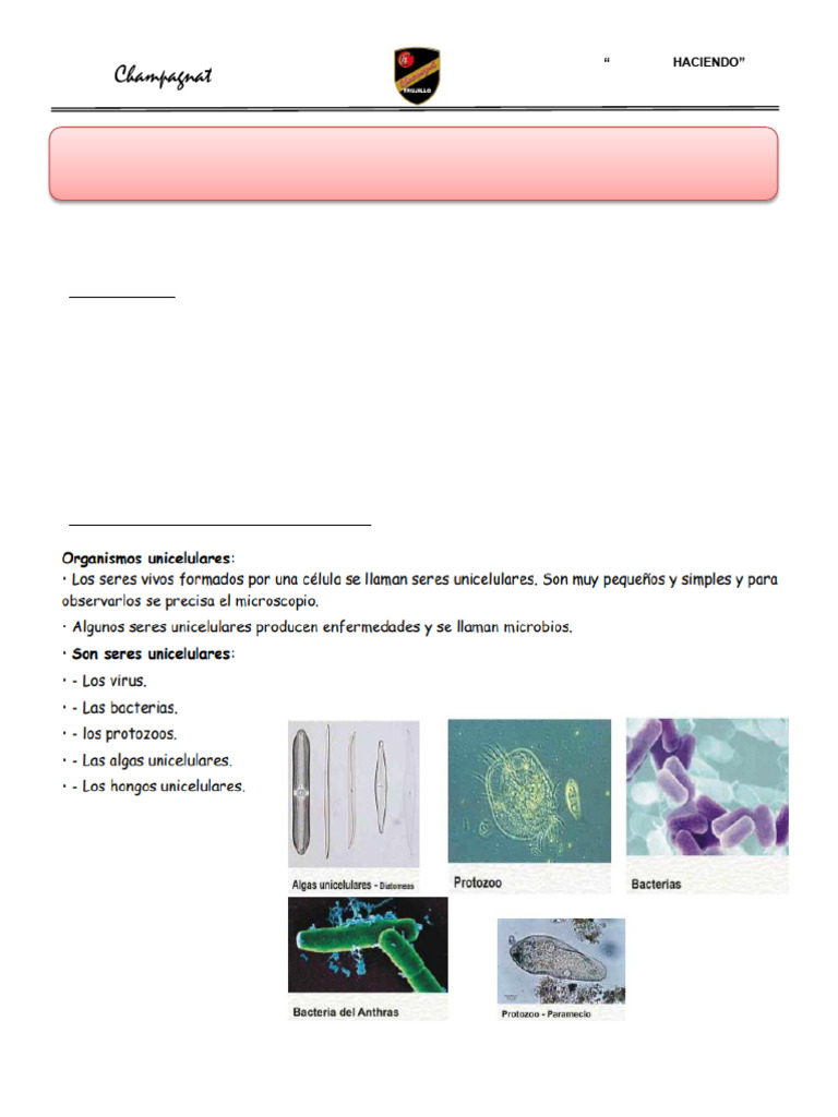 Sec 3 Cyt U2 | PDF | Organismos | Biología Celular)
