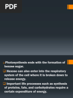 Respiration in Plants Ppt | PDF