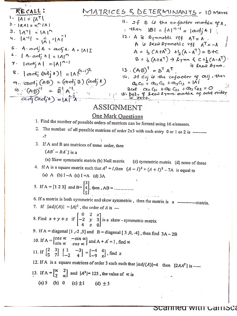 XII Matrices &determinants | PDF