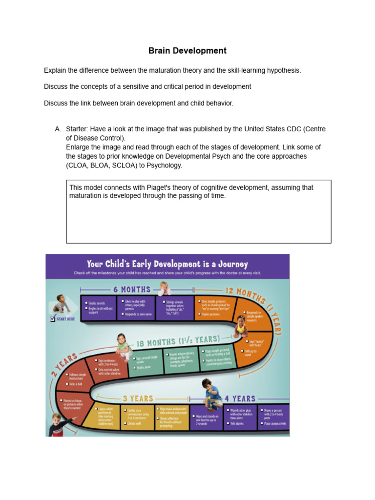 Brain Development: Maturation vs. Learning | PDF | Hippocampus ...