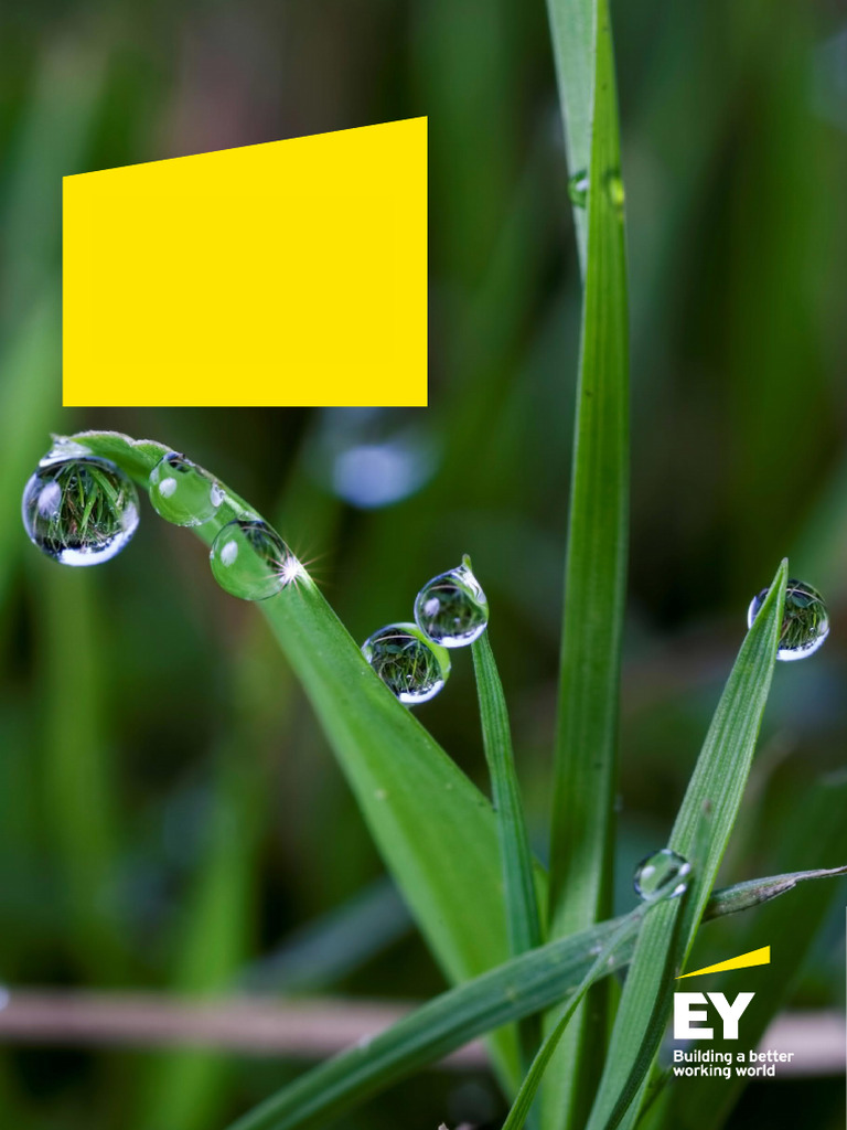 Ey Transparency Report 2019 Israel | PDF | Audit | Internal Control