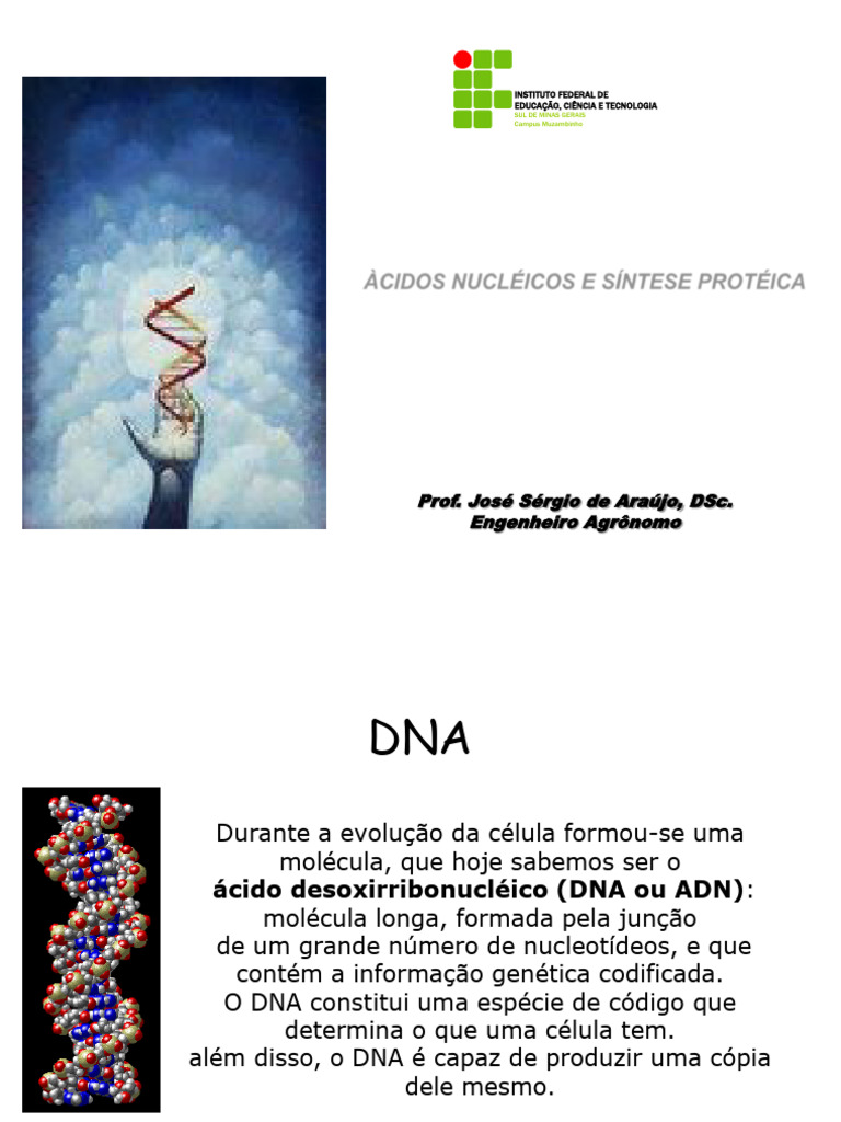 Estrutura e Função do DNA e RNA | PDF | RNA | DNA