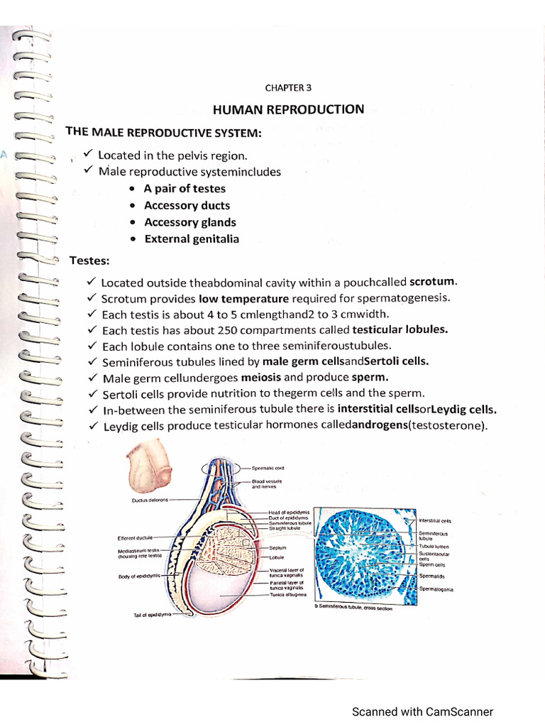 Bio CH3 | PDF