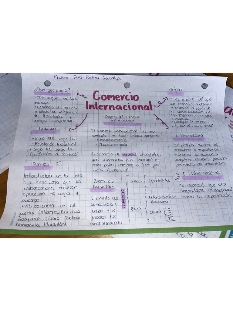 Mapa Conceptual Martínez Pérez Paulina Guadalupe | PDF