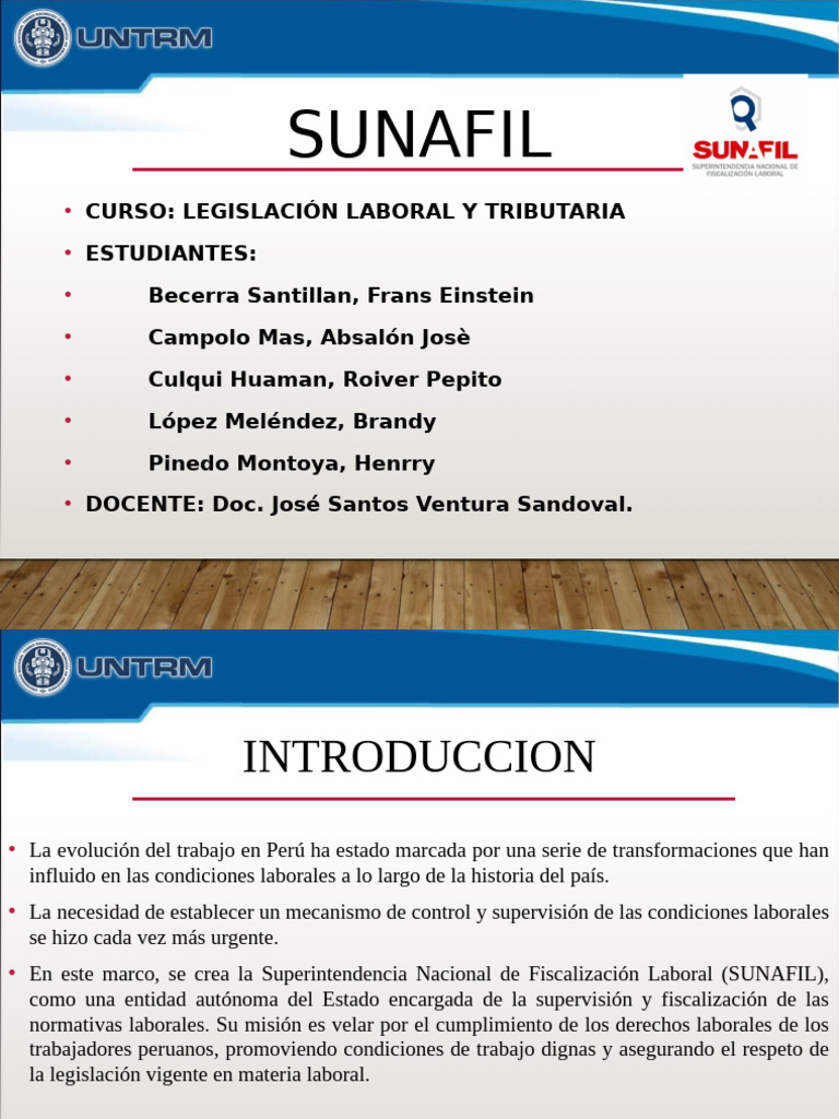 SUNAFIL | PDF | Derecho laboral | Justicia