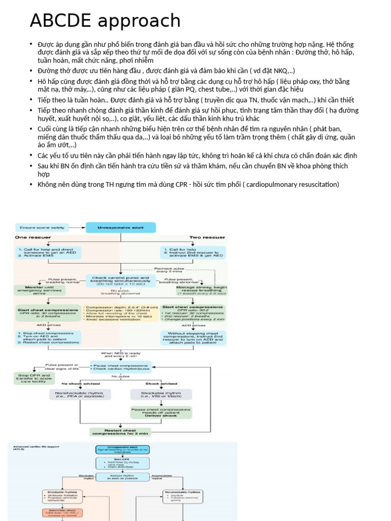 ABCDE Approach | PDF
