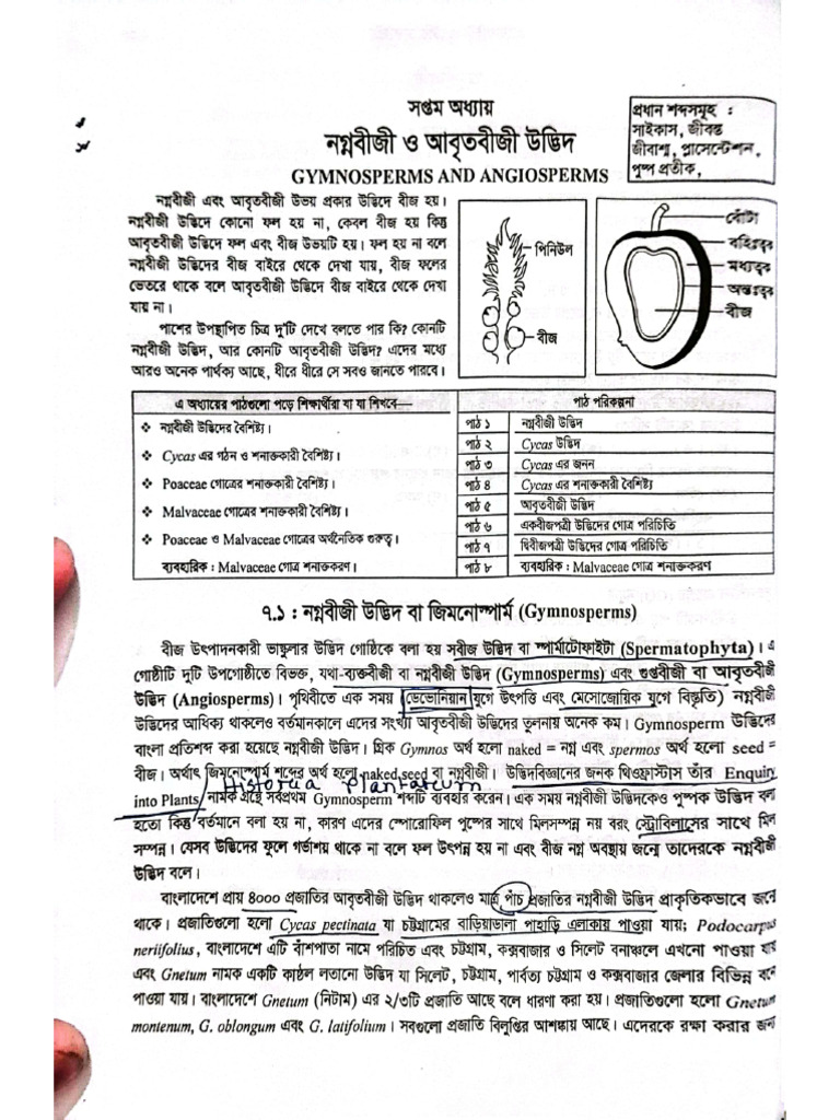 Chap 7 Botany | PDF