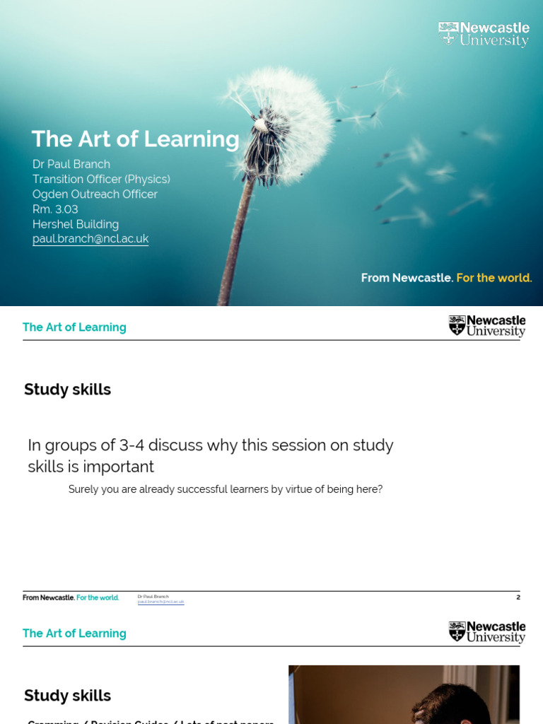 The Art of Learning MSP NCL | PDF | Cognitive Psychology | Cognitive ...