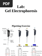 Bio-Rad Mini SDS-PAGE Gel Protocol | PDF | Gel Electrophoresis | Chemistry