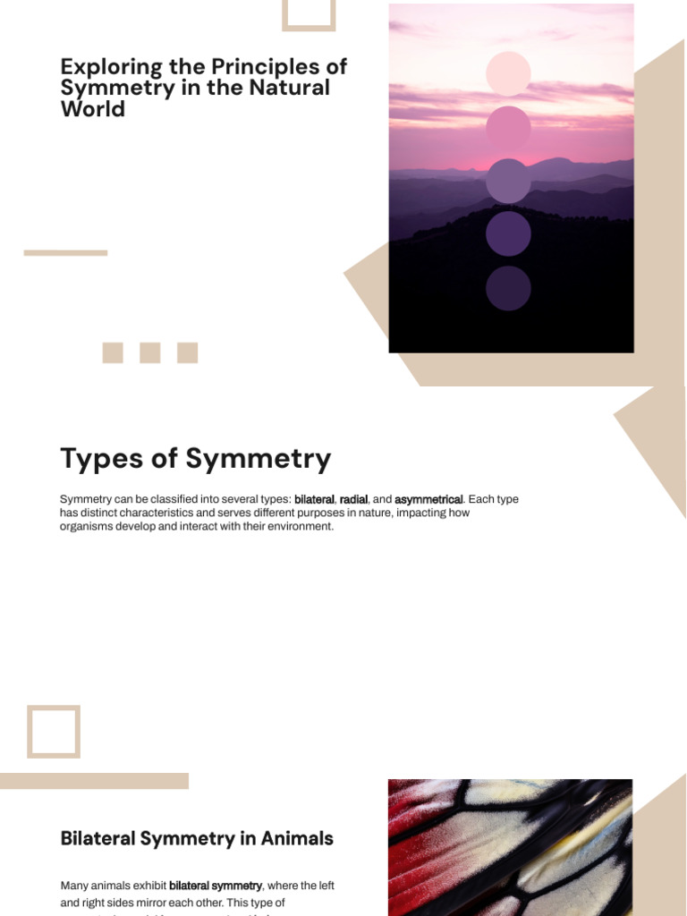 Slidesgo Exploring The Principles of Symmetry in The Natural World ...