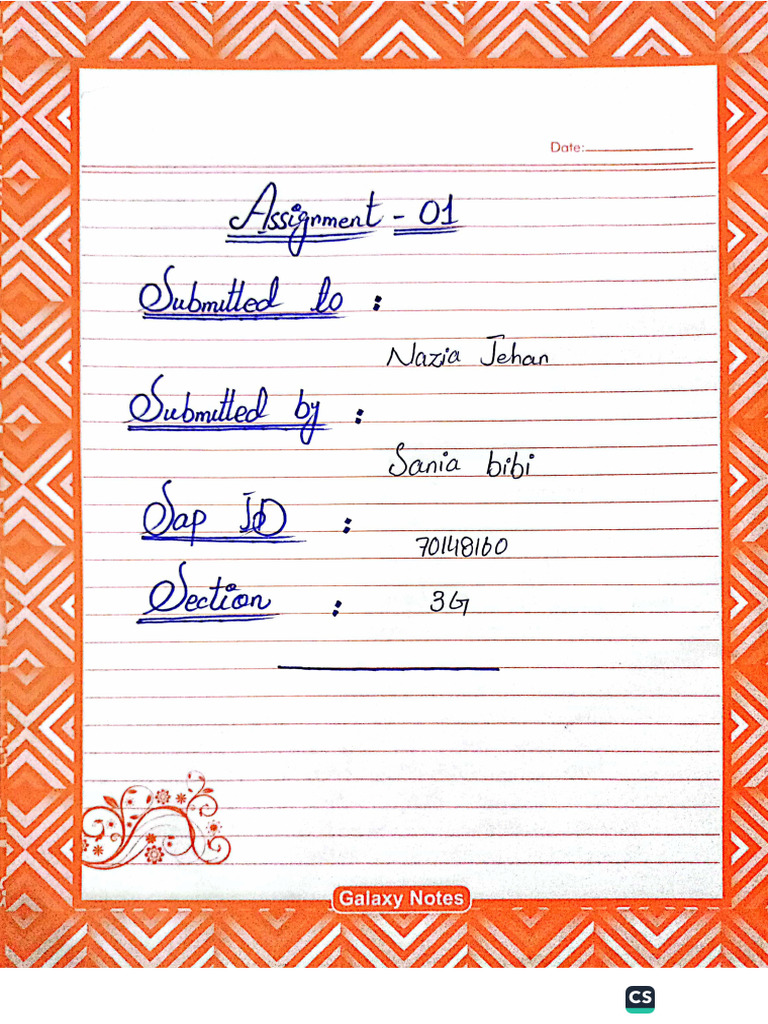 PP Assignment-01 | PDF