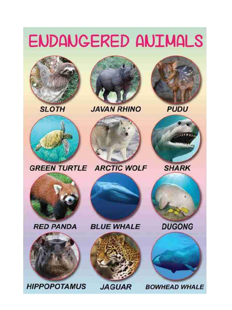 Endangered Animals | PDF