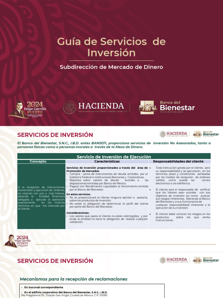 Gu A de Servicios de Inversi N V2024 | PDF | Bancos | Deuda