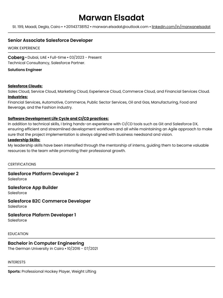 Marwan Elsadat Resumé - PWC | PDF