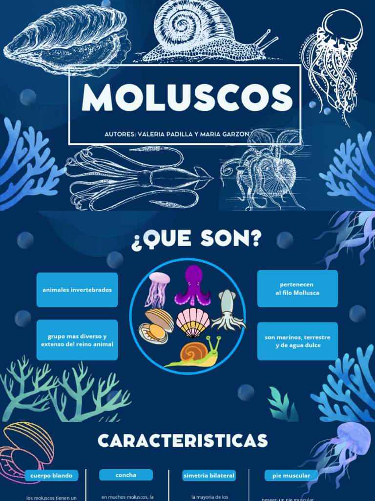Presentacion MOLUSCOS | PDF | Moluscos | Bivalvia