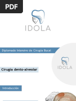 Catálogo de Implantes MIS Seven XD | PDF | Implante dental