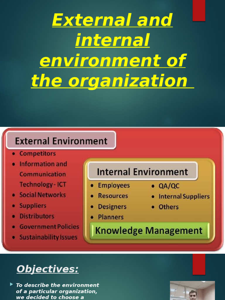 External and Internal Environment of The Organization | PDF | Behavior ...