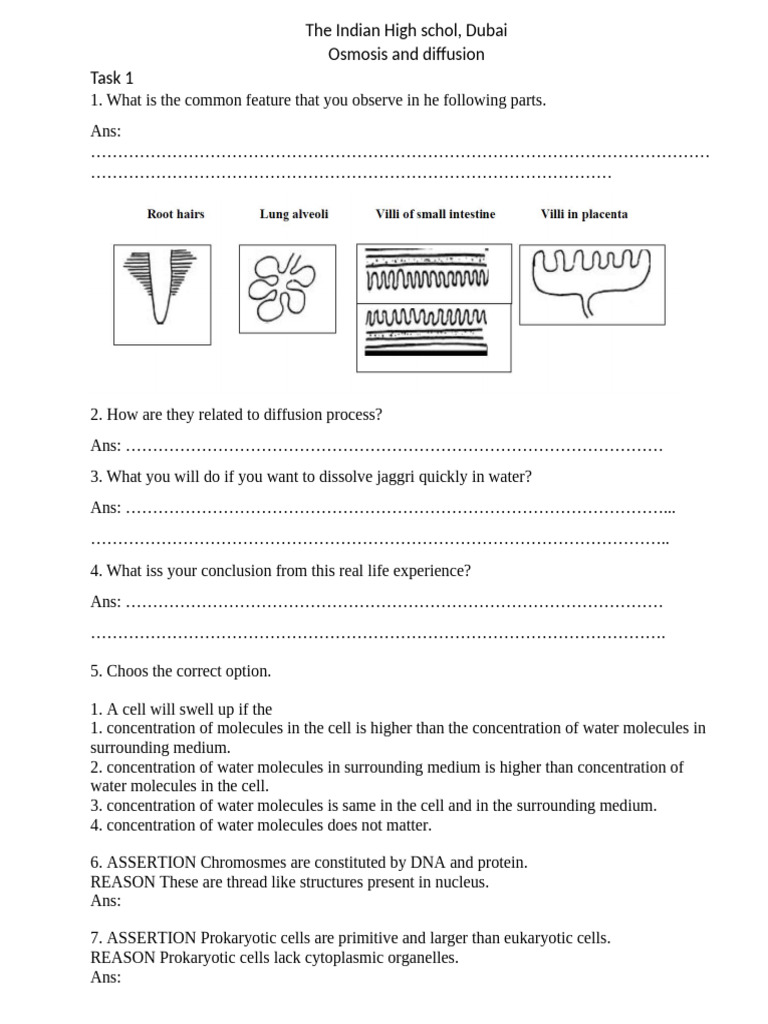 Osmosis Worksheet 1 Grade 9 | PDF | Cell (Biology) | Osmosis
