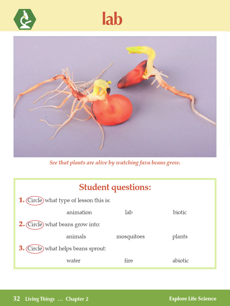 Fava Bean Project Answers | PDF