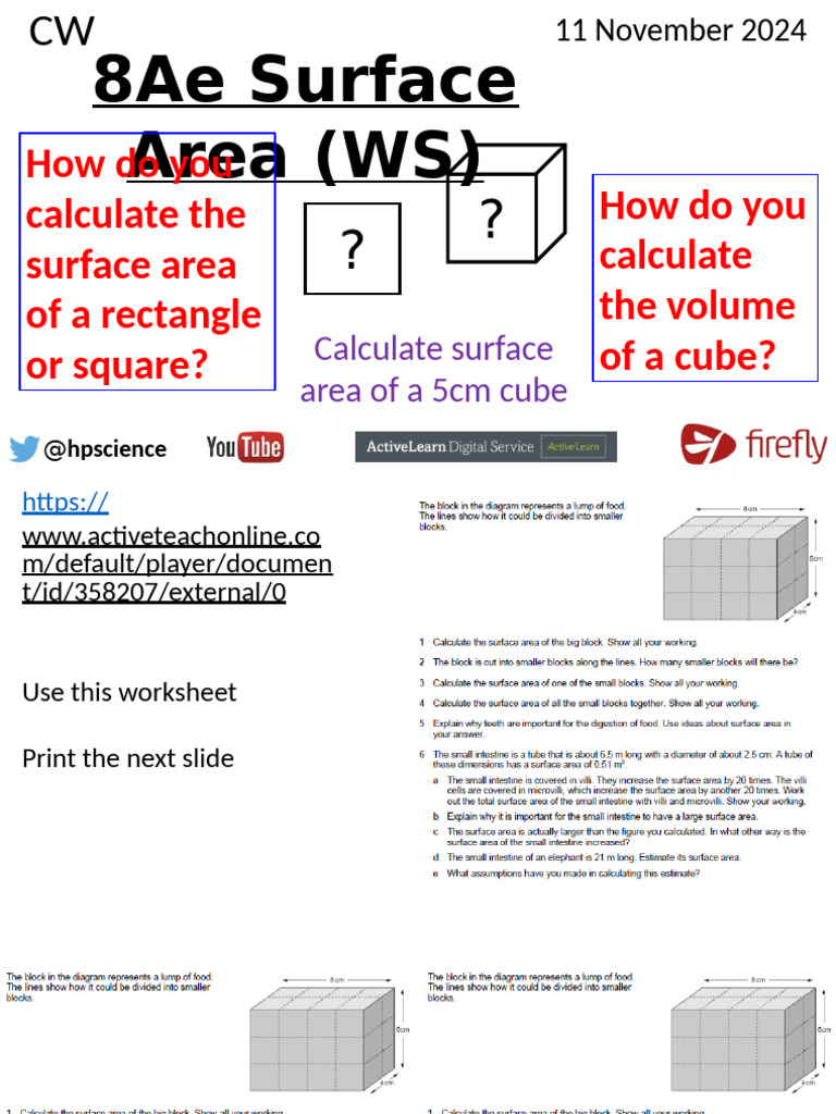 8ae Surface Area (WS) | PDF | Surface Area | Small Intestine