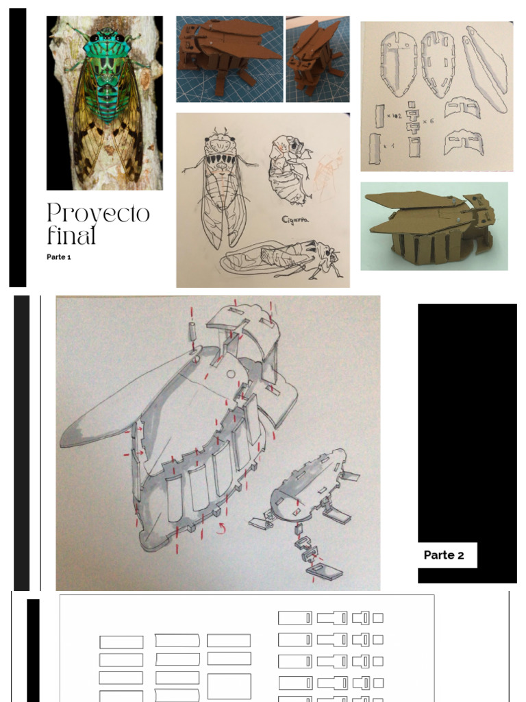 Proyecto Final: Parte 1 | PDF