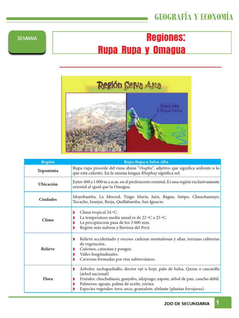 S10 - Contenido Digital - Región Rupa Rupa y Omagua | PDF | Ciencias de ...