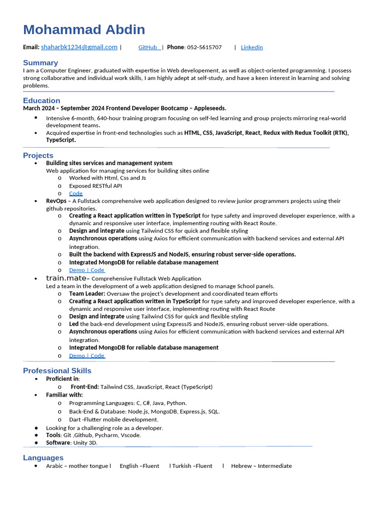 Frontend Developer Portfolio | PDF | Computing | Software Engineering