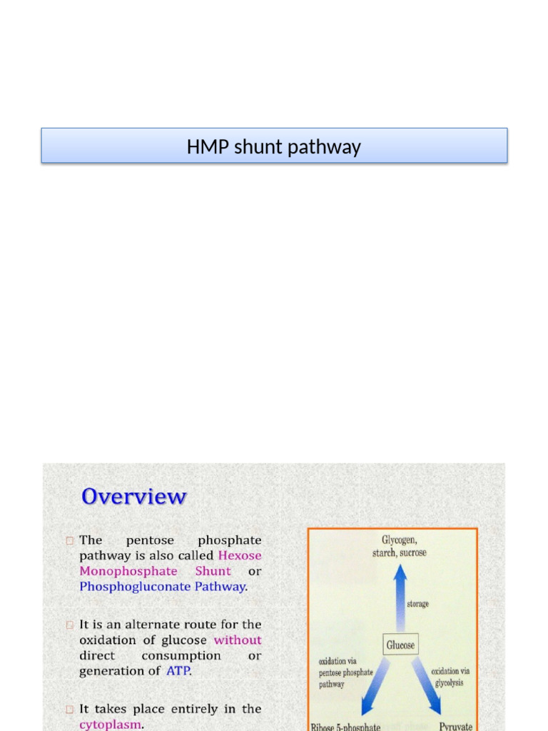 HMP Shunt Pathway | PDF