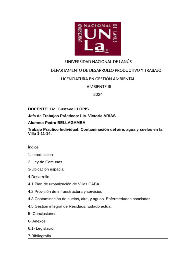 Ambiente Iii Trabajo Individual 2024 Bellagamba - 030023 - 031153 | PDF ...