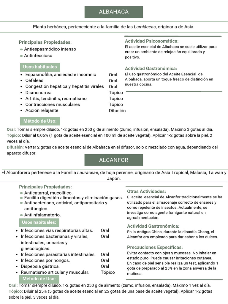 Dosier Taller | PDF | Lavandula | ensalada
