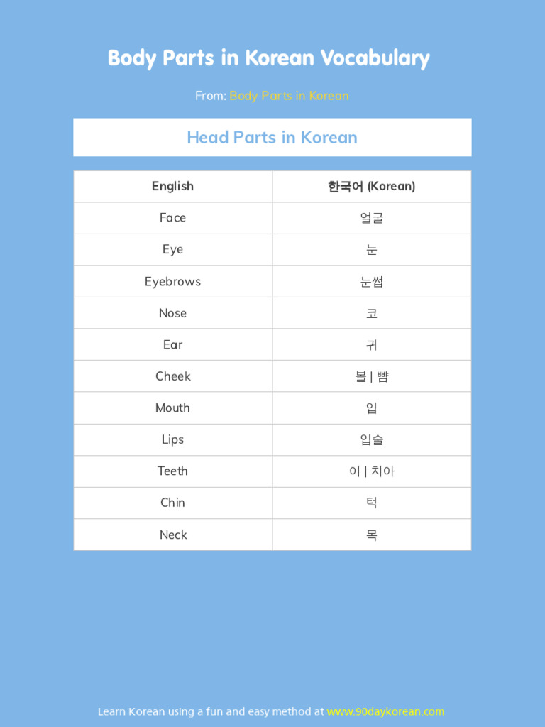 PDF Body Parts in Korean Hangeul Only | PDF | Arm | Human Anatomy