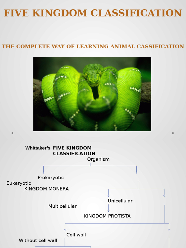 Five Kingdom Classification | PDF | Organisms | Biology
