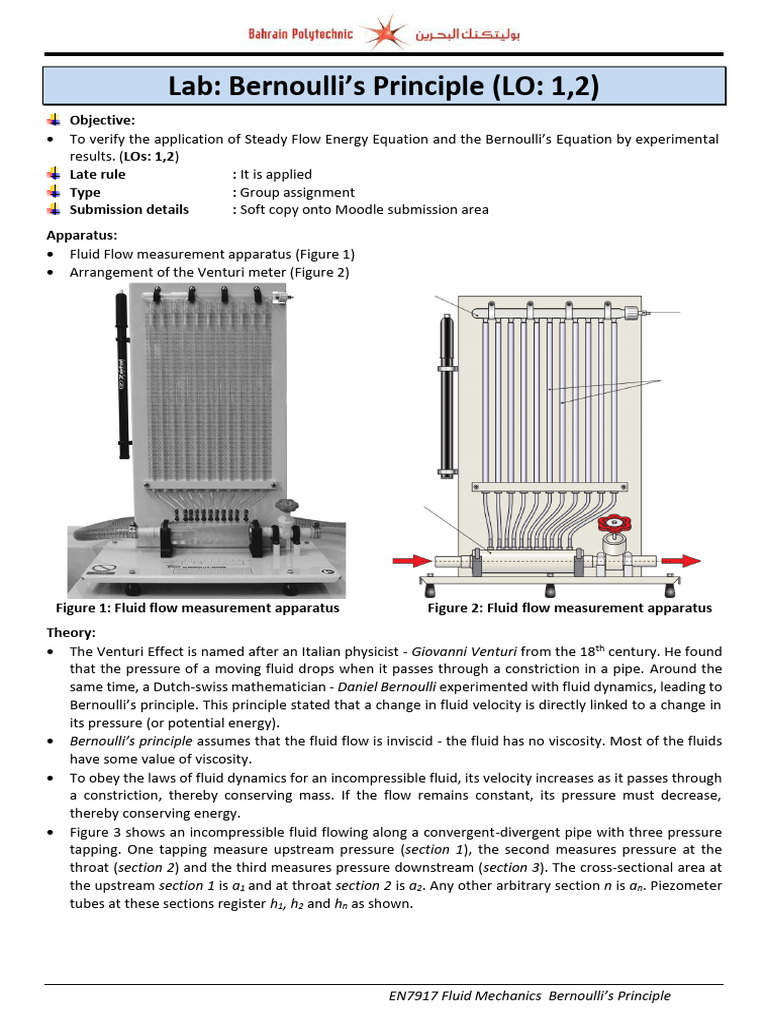 Lab Bernoullis Principle | PDF | Fluid Dynamics | Fluid Mechanics