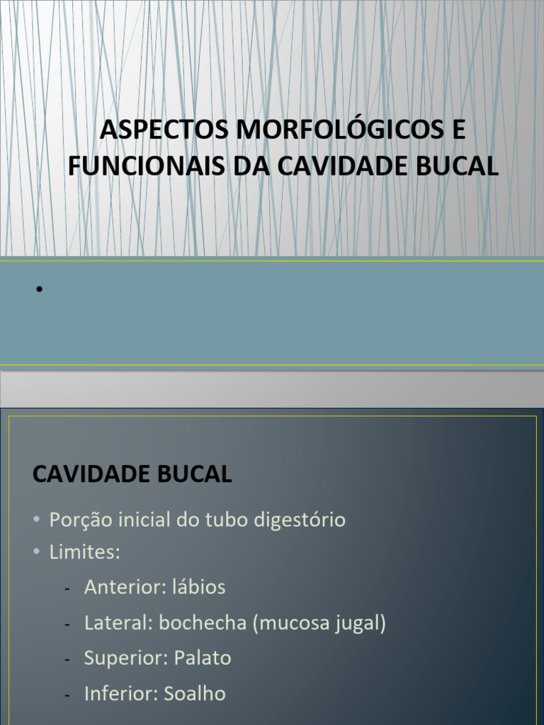 Aspectos do Sulco Labiomarginal | PDF | Boca | Anatomia animal