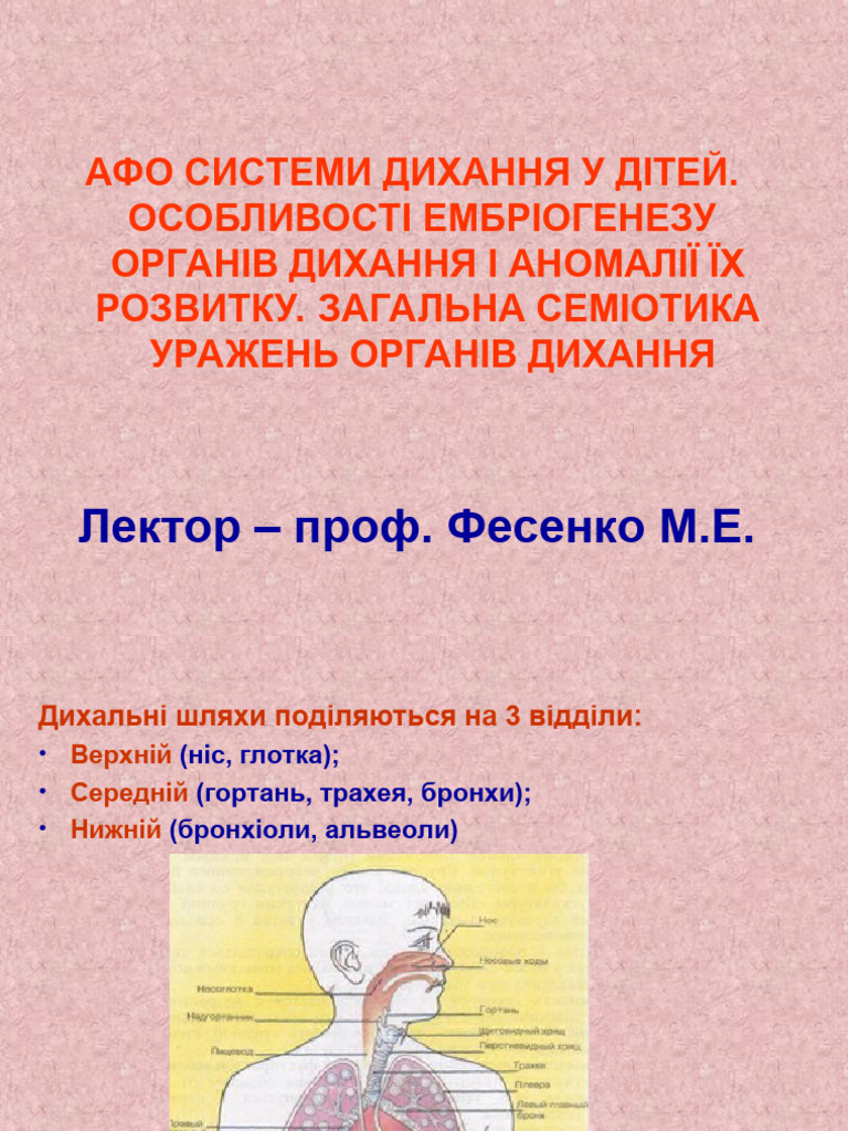 Lekc Afo Dyh 3 Proped Ukr | PDF