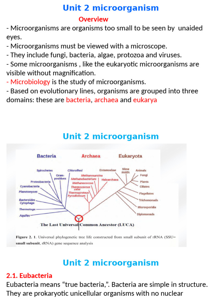 Micro Biology | PDF | Virus | Bacteria