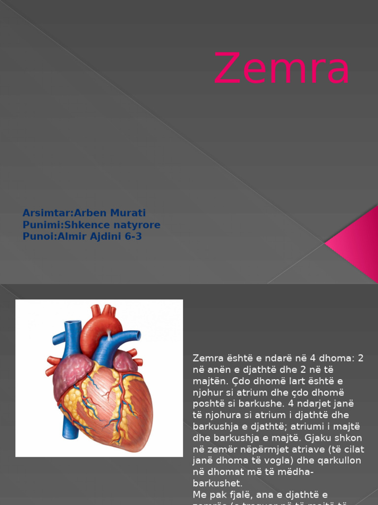 Zemra | PDF