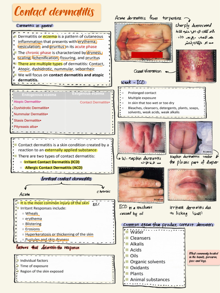 Dermatology-dermatitis | PDF | Dermatitis | Allergy
