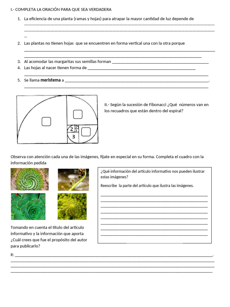 Sucesión de Fibinacci Artículo Informativo | PDF