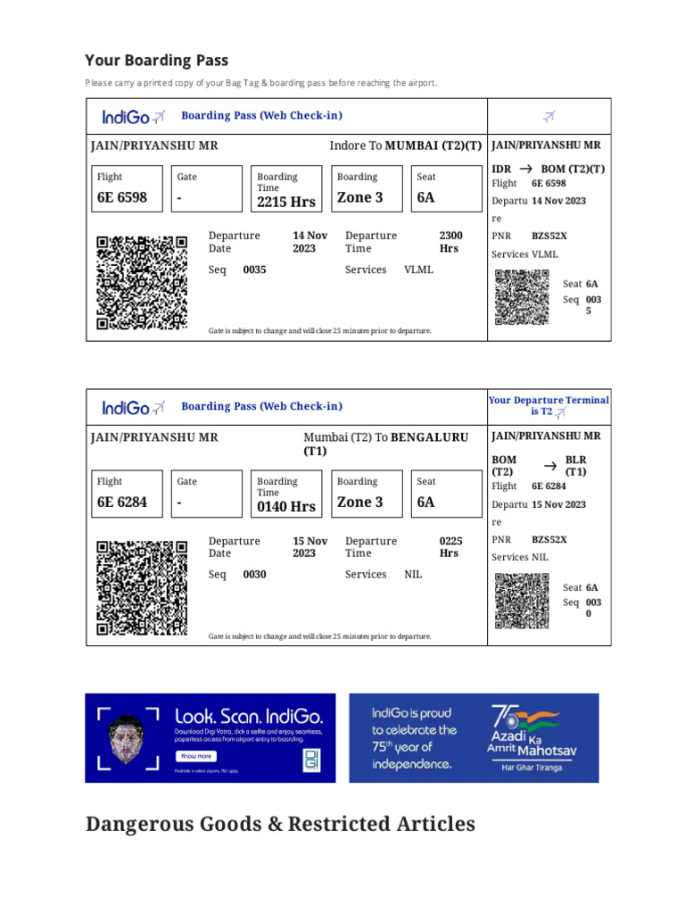 Boarding Pass and Travel Guidelines | PDF | Airport Security | Aviation