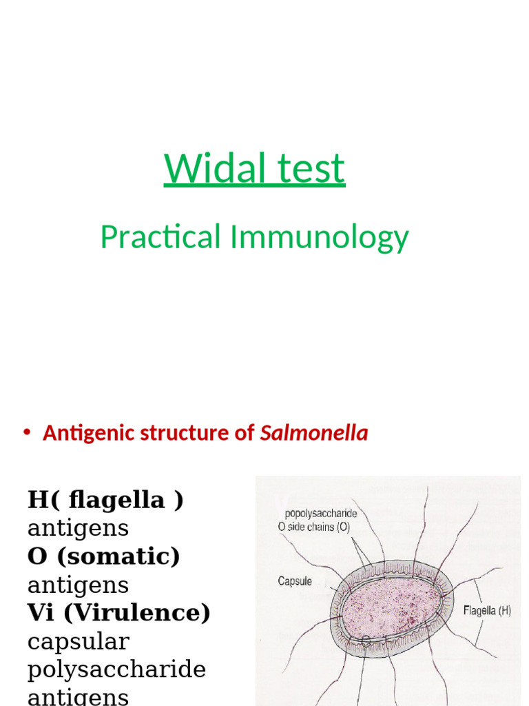 LAB Widal Test 30-4-2023 | PDF | Serology | Salmonella